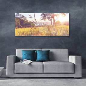 akrylový obraz Louka Tráva Strom Příroda 125x50 cm