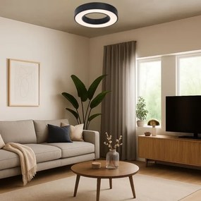 Rabalux 71360 - LED Stropní sv CIRANO LED/24W/230V 3000/4000/6500K pr.40cm černá