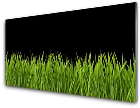 Plexisklo-obraz Zelená Tráva Příroda 125x50 cm