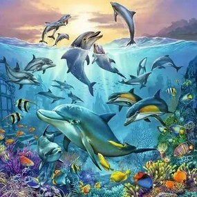 Ravensburger 051496 Zvířata z oceánu 3 x 49 dílků / od 5 let