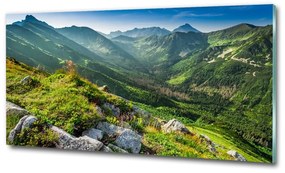 Wallmuralia Foto obraz skleněný horizontální Úsvit v Tatrách 100x50