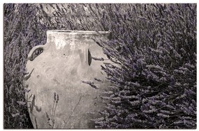 Obraz na plátně - Amfora v levandulovém keři 169FA (120x80 cm)