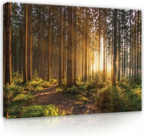 Obraz Les Příroda Na Plátně Stěna Do Ložnice Obývacího Pokoje Moderní 120x80