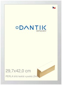 DANTIK rámeček 29,7x42 | PERLA bílá lesklá vysoká (Plexi Čiré)