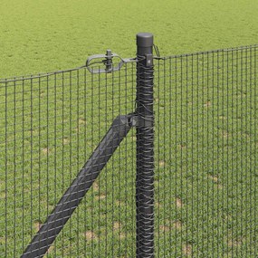 Svařované drátěné ploty s hroty 50 x 1,4 m Ocel potažená PVC 3352241