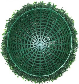 Umělé topiary Zimostráz, 50,8 cm vysoký (2 kusy)