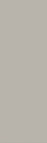 Ceramika Paradyz Obklad šedý matný 75x25 Neve Grys Mat Rekt. 75x25 - 159894