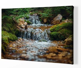 Obraz na plátně - Malý vodopád s šiškou a mechem FeelHappy.cz Velikost obrazu: 120 x 80 cm