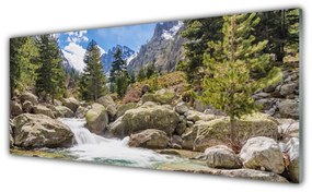 akrylový obraz Hora Les Kameny Řeka 125x50 cm