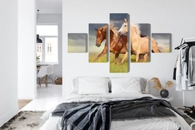 Vícedílný obraz Koně Cválající Na 3D Louce Nedostatek Nedostatek Přírodní plátno 250x150