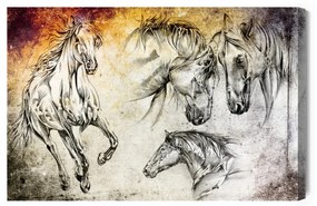 Obraz Koně Jako Malované Nedostatek Nedostatek Přírodní plátno 120x80
