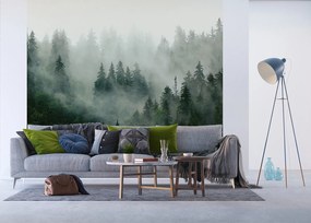 Vliesová fototapeta na zed' Lesní Mlha | 300 x 270 cm | DFT4P5703