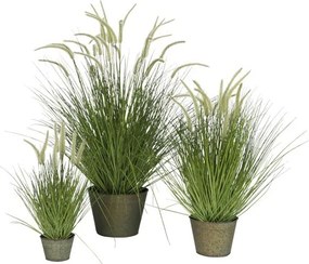 Okrasná tráva v květináči - Ø52*81cm