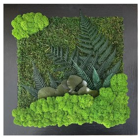 WOODILO Obraz ze stabilizovaného mechu a rostlin 110 Rozměr obrazu: 34x34 cm, Barva rámu: Dub, Síla rámu (pohledová): 2,5 cm