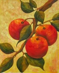 Červené ovoce - 90 x 120 cm