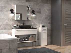 TPS Koupelnová skříňka NEL V DS 30 cm, bílá lesk