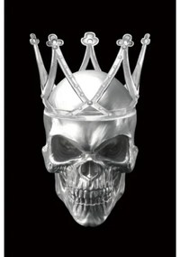 Obraz Skull II 80 x 120 cm