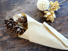 Sada sušených hnědých květin jiřinka Fleur Dahlia – 55 cm / 3ks