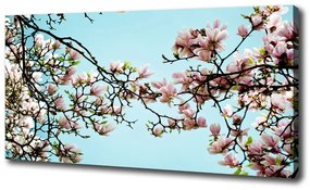 Wallmuralia Foto obraz na plátně Květiny magnolie 100x50