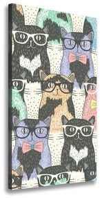 Wallmuralia Vertikální Foto obraz na plátně Kočky v brýlích 50x100