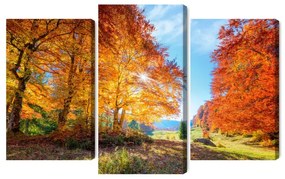 Vícedílný obraz Barevné Podzimní Stromy Nedostatek Nedostatek Plátno Canvas 120x80