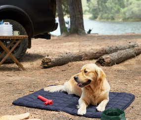 Tchibo - Skládací miska pro psy - barva: zelená