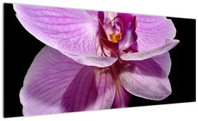Obraz - orchidej (100x40cm)
