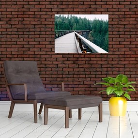 Skleněný obraz - Most k vrcholkům stromů (70x50 cm)