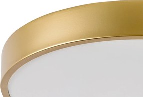 Rabalux Zlaté stropní LED svítidlo Tesia 400mm 36W 71037