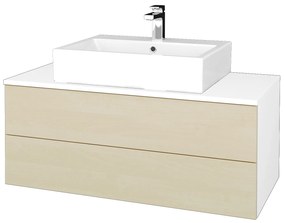 Dřevojas Koupelnová skříňka MODULE SZZ2 100 Varianta: N01 Bílá lesk / D06 Ořech
