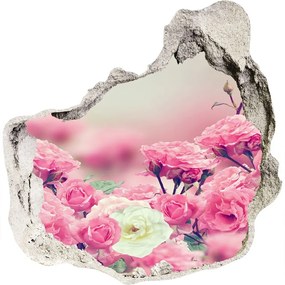 Wallmuralia Samolepící díra na stěnu Květiny divoké růže 75x75 cm