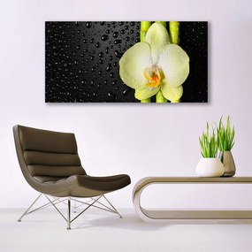 Plexisklo-obraz Bambus Květ Orchidej 120x60 cm