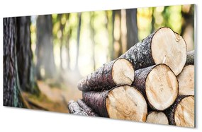 akrylový obraz Dříví prales přírodě 125x50 cm