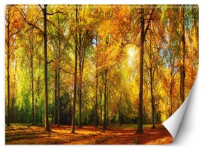 Gario Fototapeta Podzimní les Materiál: Vliesová, Rozměry: 200 x 140 cm