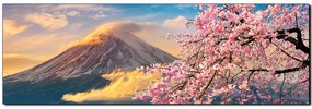 Obraz na plátně - Hora Fuji a třešňové květiny na jaře- panoráma 5266A (105x35 cm)