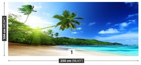 Fototapeta Pláž na Seychelách 104x70