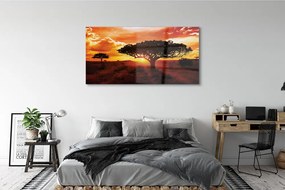 akrylový obraz Stromy mraky západ 140x70 cm