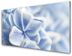 Obraz na skle Květiny Plátky Příroda 140x70 cm