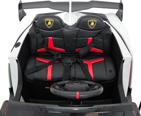 Ramiz Vozidlo Lamborghini Veneno bílé