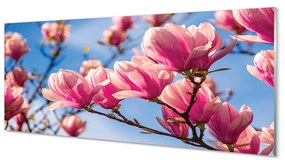 akrylový obraz květy 120x60 cm