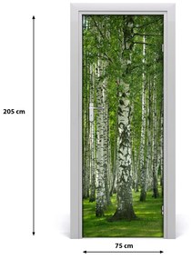 Fototapeta na dveře břízový les 75x205 cm