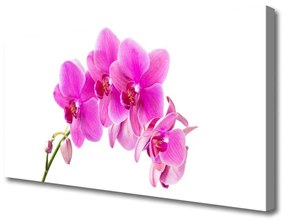 Obraz na plátně Vstavač Květ Orchidej 125x50 cm