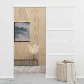 Posuvné dveře s měkkými zarážkami ESG sklo a hliník 76 x 205 cm 288061