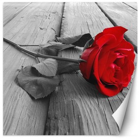 Gario Fototapeta Červená růže na starých deskách Materiál: Vliesová, Rozměry: 100 x 100 cm