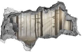 Wallmuralia Nálepka 3D díra samolepící Mlha v lese 95x73 cm
