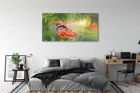akrylový obraz Barevný motýl květiny 140x70 cm