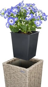 Sada 3 ks květináčů Dejo z polyratanu krémová