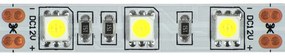 ECOLIGHT LED pásek - SMD 5050 - 50m - 14,4W/m - IP20 - teplá bílá