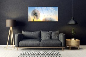 Obraz na skle Pampeliška Květiny 100x50 cm