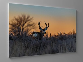 Liox Obraz jelen v západu slunce Rozměr: 150 x 100 cm